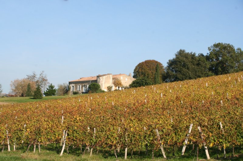 Chateau La Chèze - Crus & Vintages