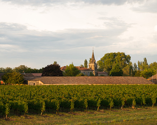 Château Géneau - Crus & Vintages